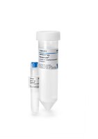 Benzonase® 核酸酶 | 101654